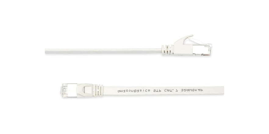 Amazon Basics RJ45 Cat 7 100' Ethernet Cable