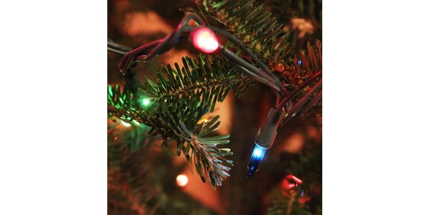 Hakol 20FT Waterproof Mini String Lights 2PK