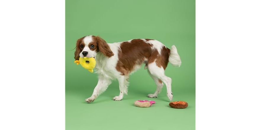 Fringe Studio Plush Dog Toy, 3 Pieces Set, Donuts