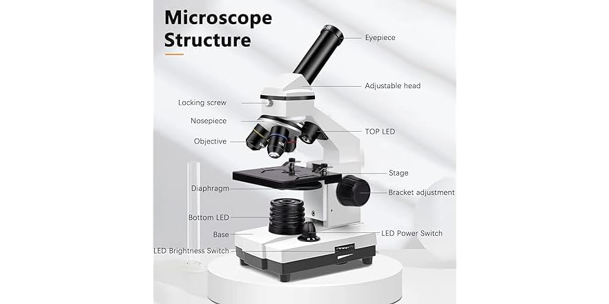 PalliPartners 100X-2000X Compound Microscope