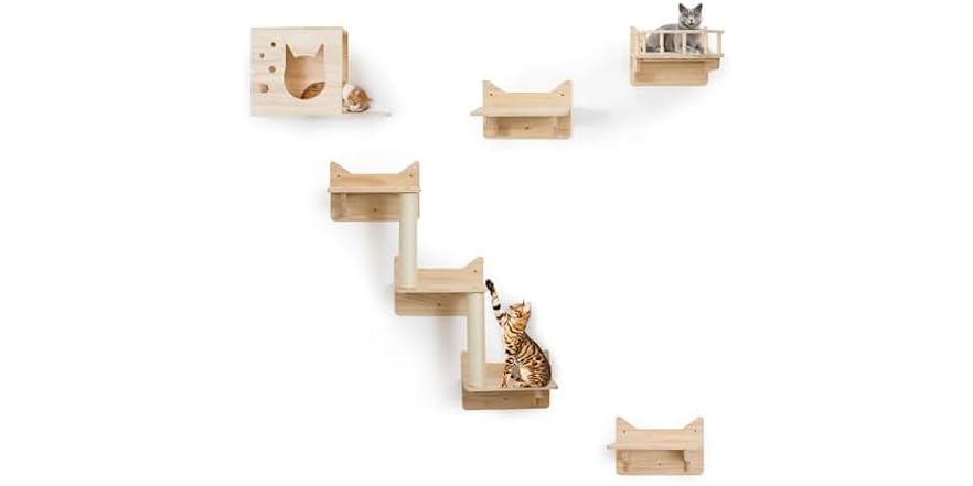 Set of 5 Pine Cat Wall Shelves