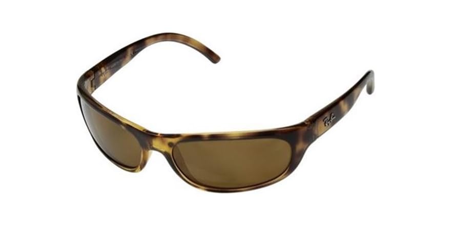Ray-Ban Men's Polarized Predator Sunglasses