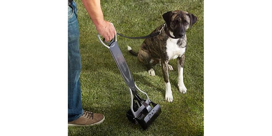 Amazon Basics Spring-Loaded Pooper Scooper