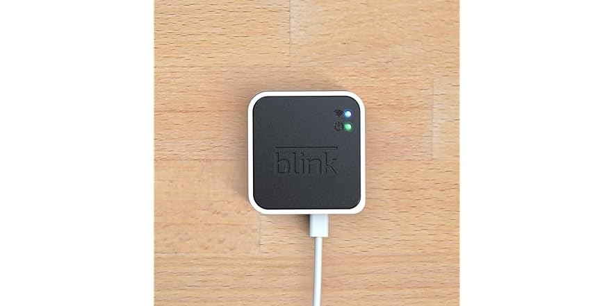 (NEW) Blink Add-On Sync Module 2
