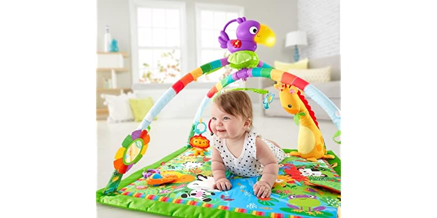 Fisher-Price Rainforest Gym