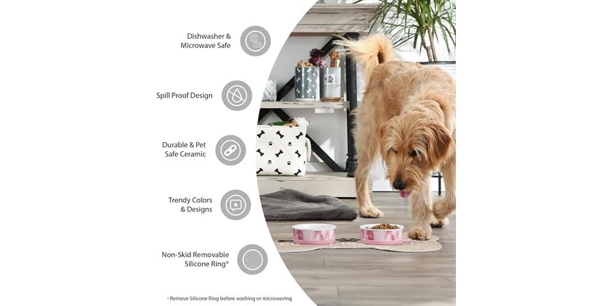 Bone Dry Ceramic Food & Water Bowls (Lg)
