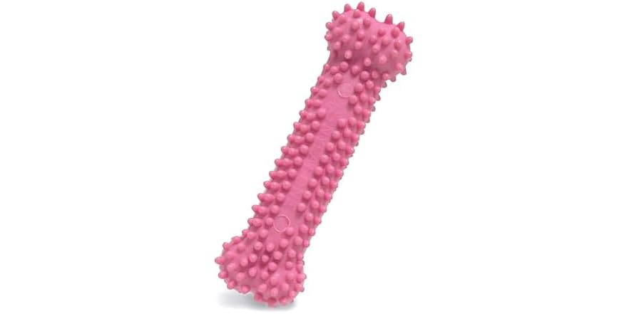 Nylabone Textured Teething Bone Puppy Chew Toy