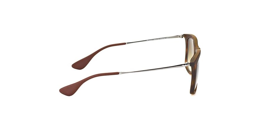 Ray-Ban 4221 Sunglasses