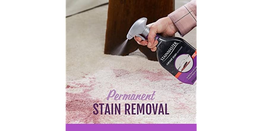 STAINMASTER Carpet Stain Remover 2 Pack