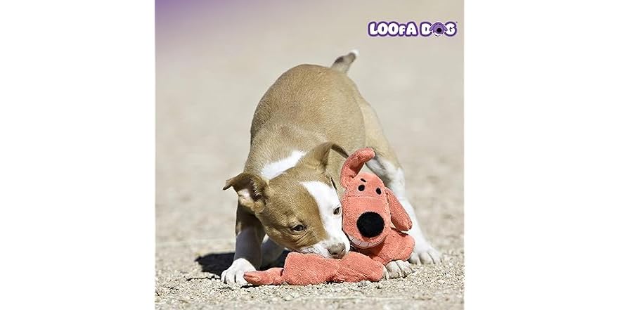 Multipet Loofa Dog Toy 24"