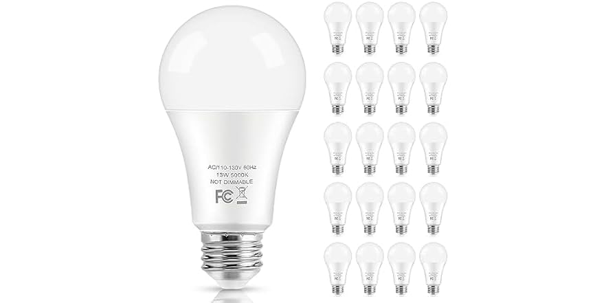 LED Light Bulbs, 100 Watt Equivalent A19 LED Bulbs