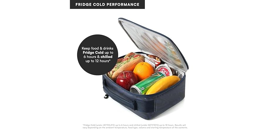 Titan Fridge Cold Lunch Box With 2 350g Ice Walls