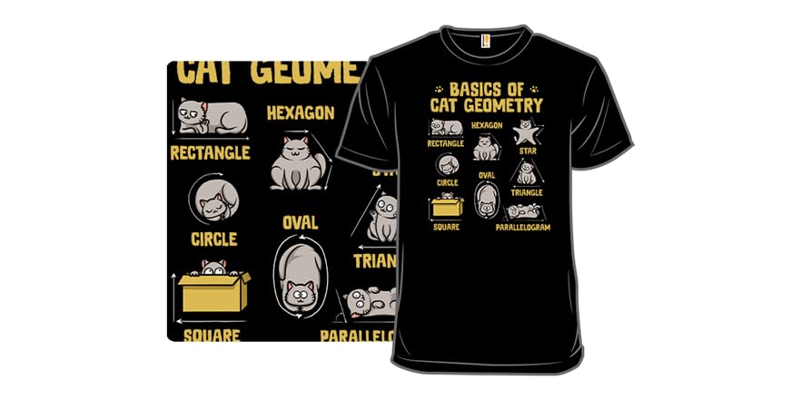 Basics of Cat Geometry