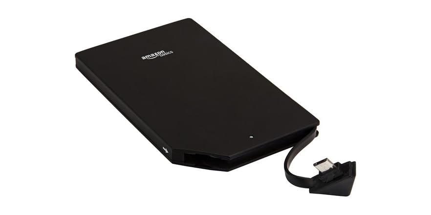 AmazonBasics Portable Power Bank