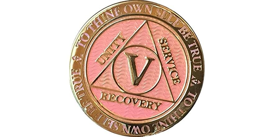 RecoveryChip 5 Year AA Chip
