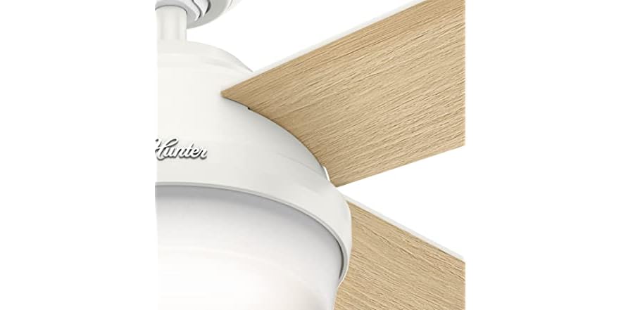 Hunter Fan 52" wRemote & LED Light Kit