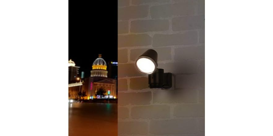 LED Motion Single-Head Floodlight