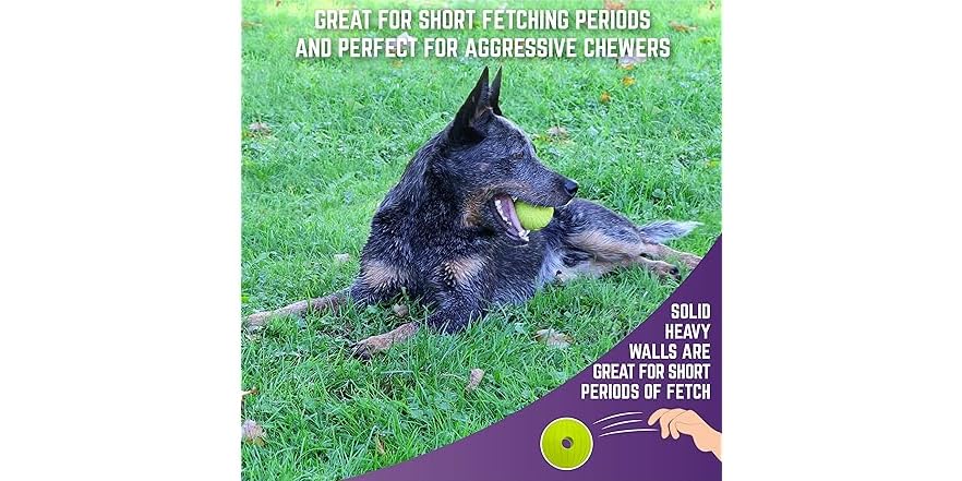 Chew King Supreme Rubber Fetch Balls 2Pk