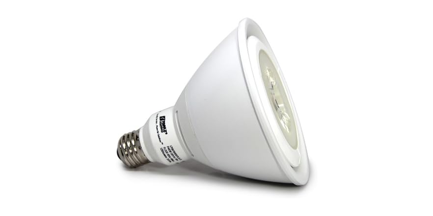 19-Watt, PAR38 Dimmable LED Bulb