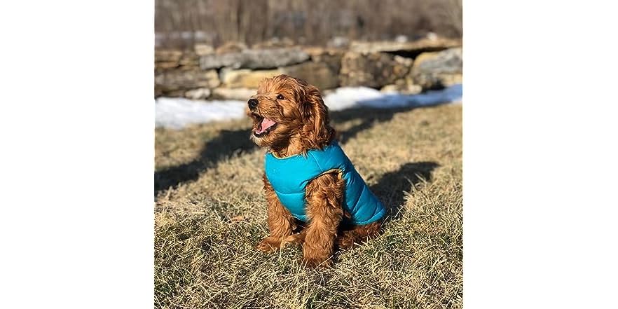 Gooby Padded Vest Dog Jacket