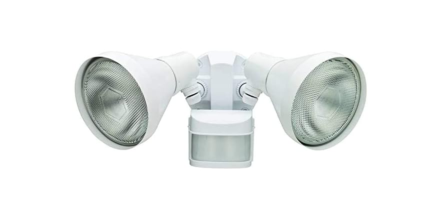 Outdoor White Motion Security Light