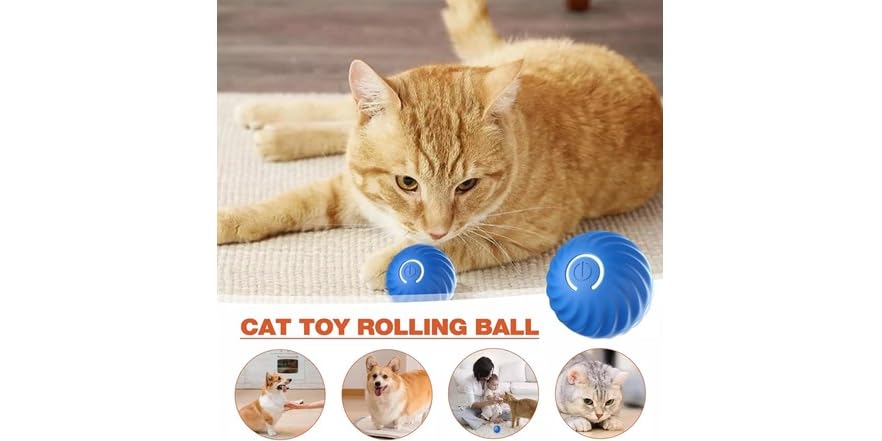 Interactive Rolling Cat Toy Ball