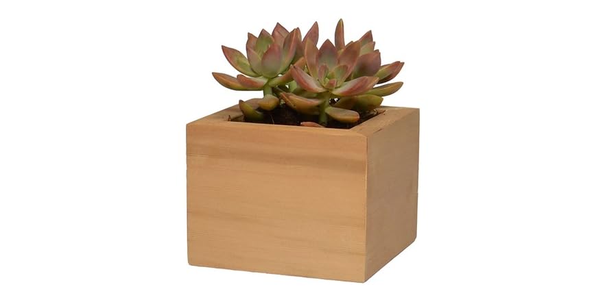 Cedar Table Top Planter Box 4 x 4 (2-pack)