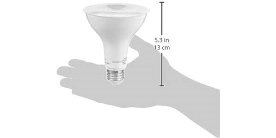 AmazonCommercial 75W PAR30 LED Bulbs