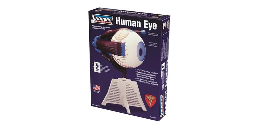 Lindberg Human Eye Model Kit