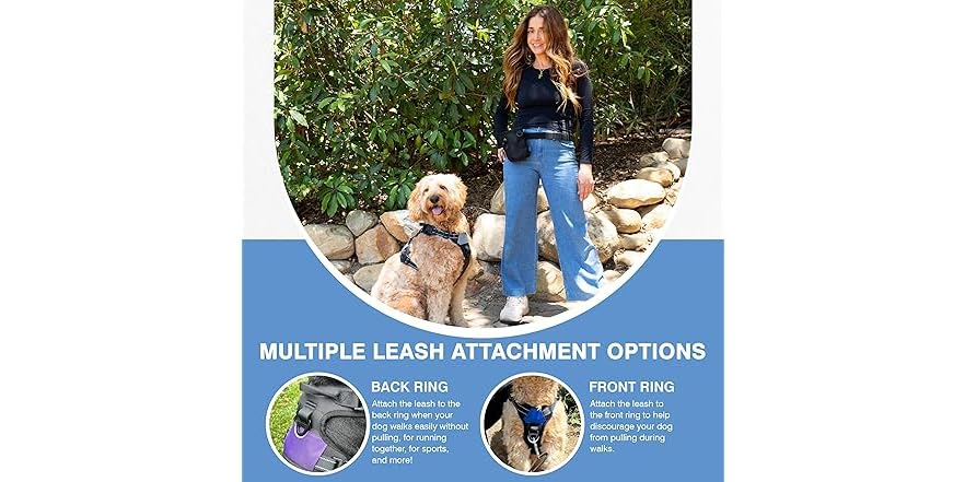 The Inquisitive Canine The North Star Dog Harness