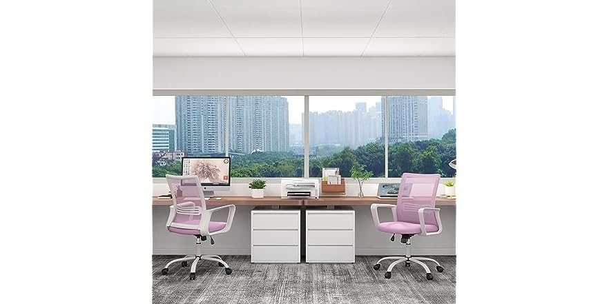 Ergonomic Office Chair w Armrests