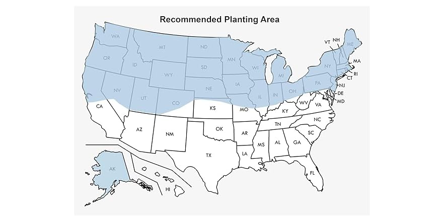 Rapid Repair POD, Brown