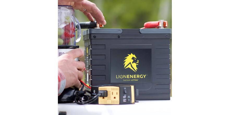 Lion UT 700 Battery (12V, 56Ah, LiFePO4)