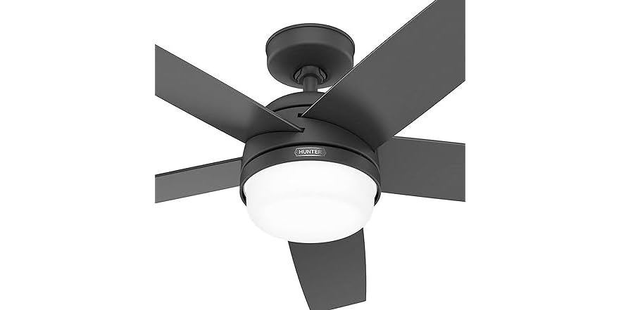 Hunter Fan 52" Reversible Blade Fan