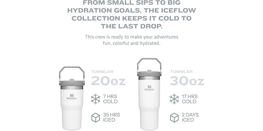 Stanley The IceFlow Straw Tumbler 20 OZ