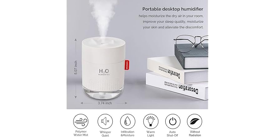 Portable Mini Humidifier