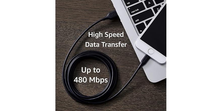 AmazonBasics 6FT Lightning to USB-A Charging Cable