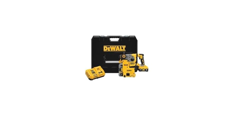 DEWALT DCH293R2DH 20V MAX XR Rotary Hammer