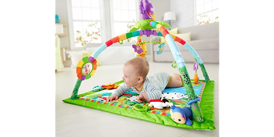 Fisher-Price Rainforest Gym