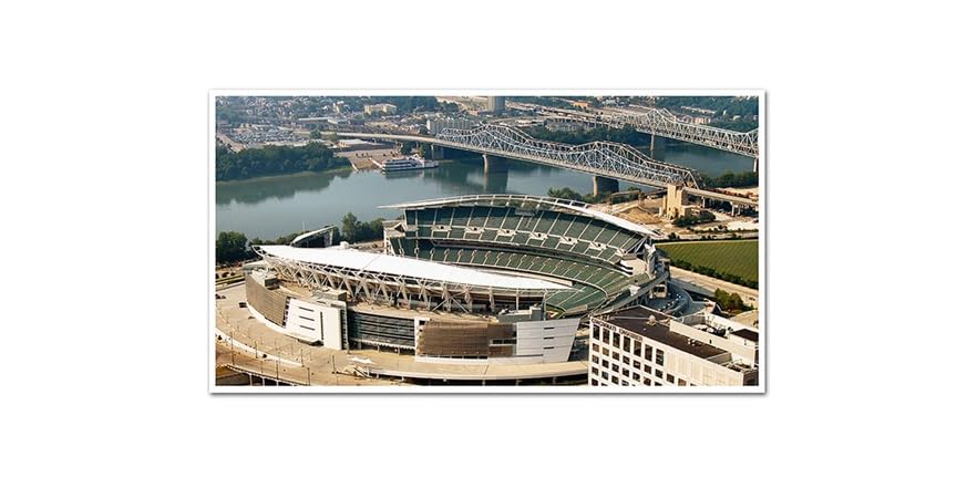 NFL 36x20 Stadium Posters