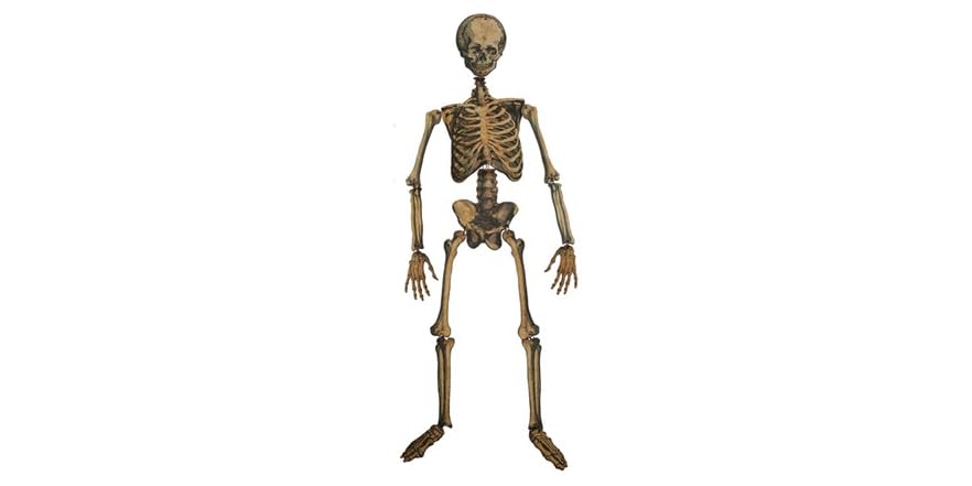 Primitives By Kathy Skeleton Hang-Up