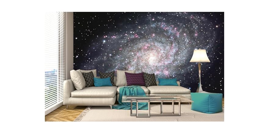 Galaxy Wall Mural