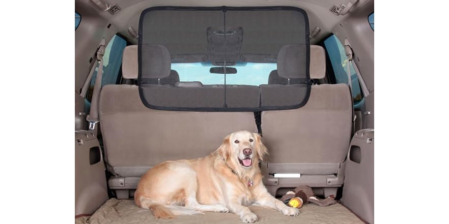 Cargo Area Net Barrier