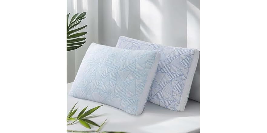 Sylvaris Memory Foam Pillows 2 Pack Queen