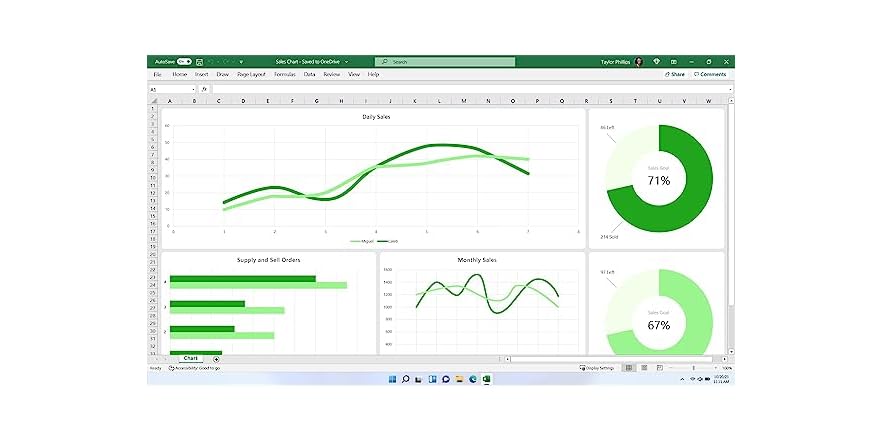 Microsoft Office Professional 2021