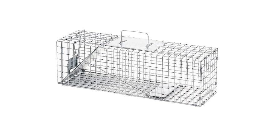 Professional Medium Trap