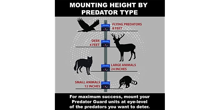 Predator Deterrent Light