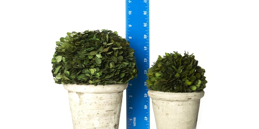 9 or 11" Boxwood Globe Topiary