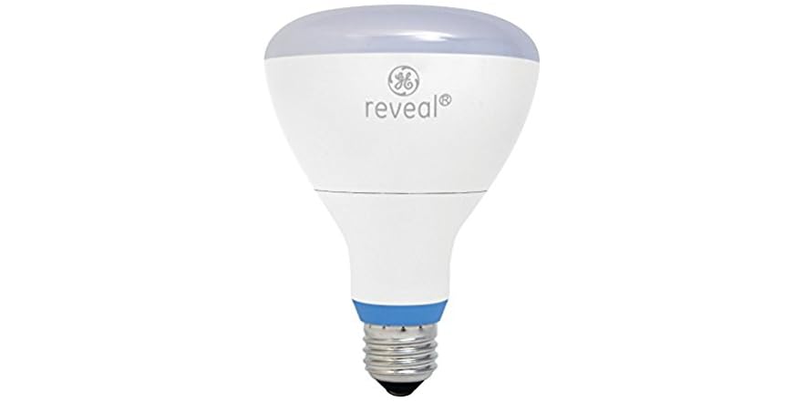 GE Lighting LED 10W 650-Lumen Bulb