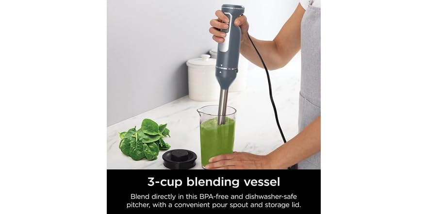 Ninja Immersion Blender and Hand Mixer